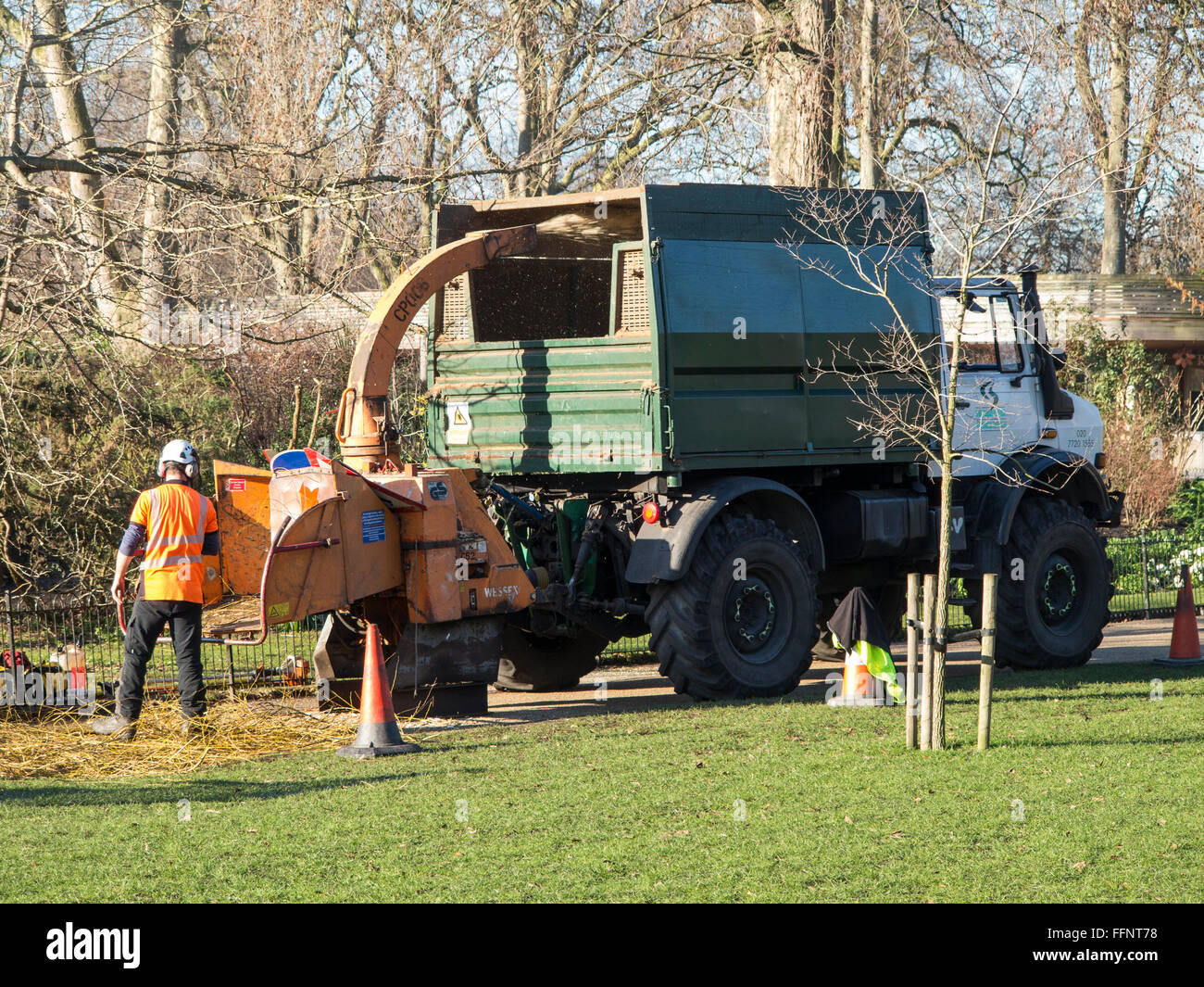 Shredding wood in a London park Stock Photo - Alamy