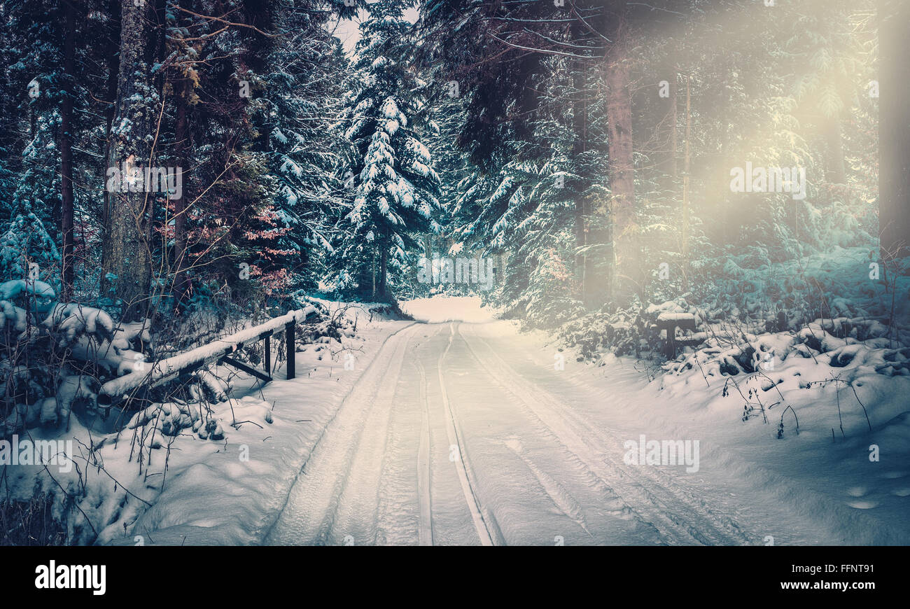 Winter landscape. Road covered in snow in dense forest Stock Photo - Alamy