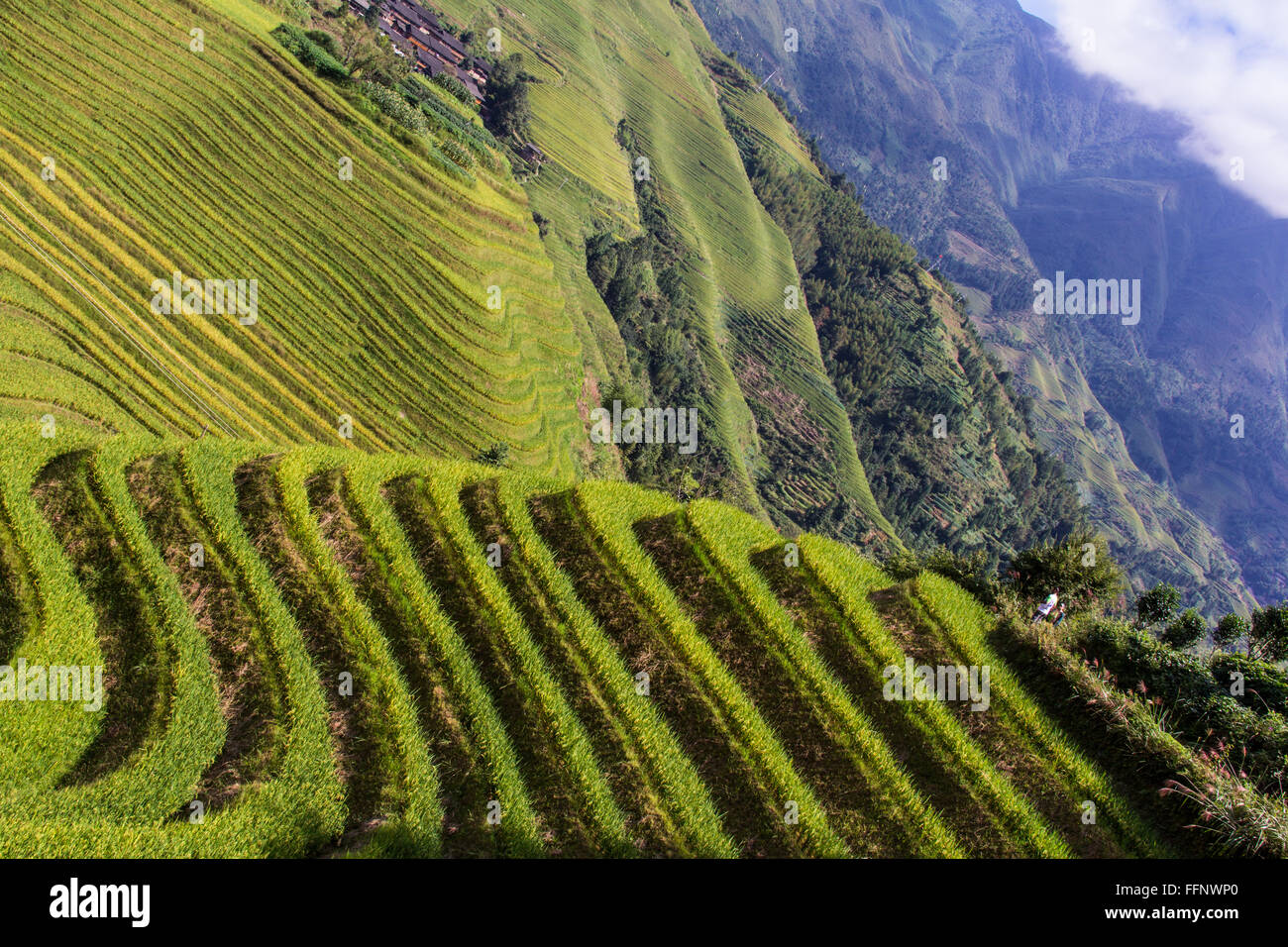 Dragon Backbone Rice Terraces. Longji. China Stock Photo - Alamy