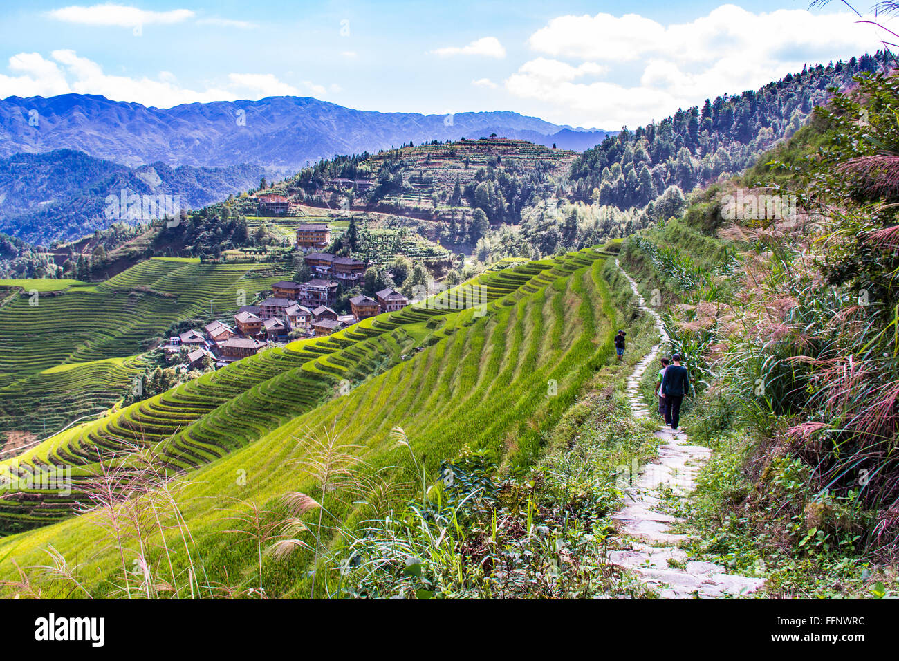 Path in Dragon Backbone Rice Terraces. Longji. China Stock Photo - Alamy