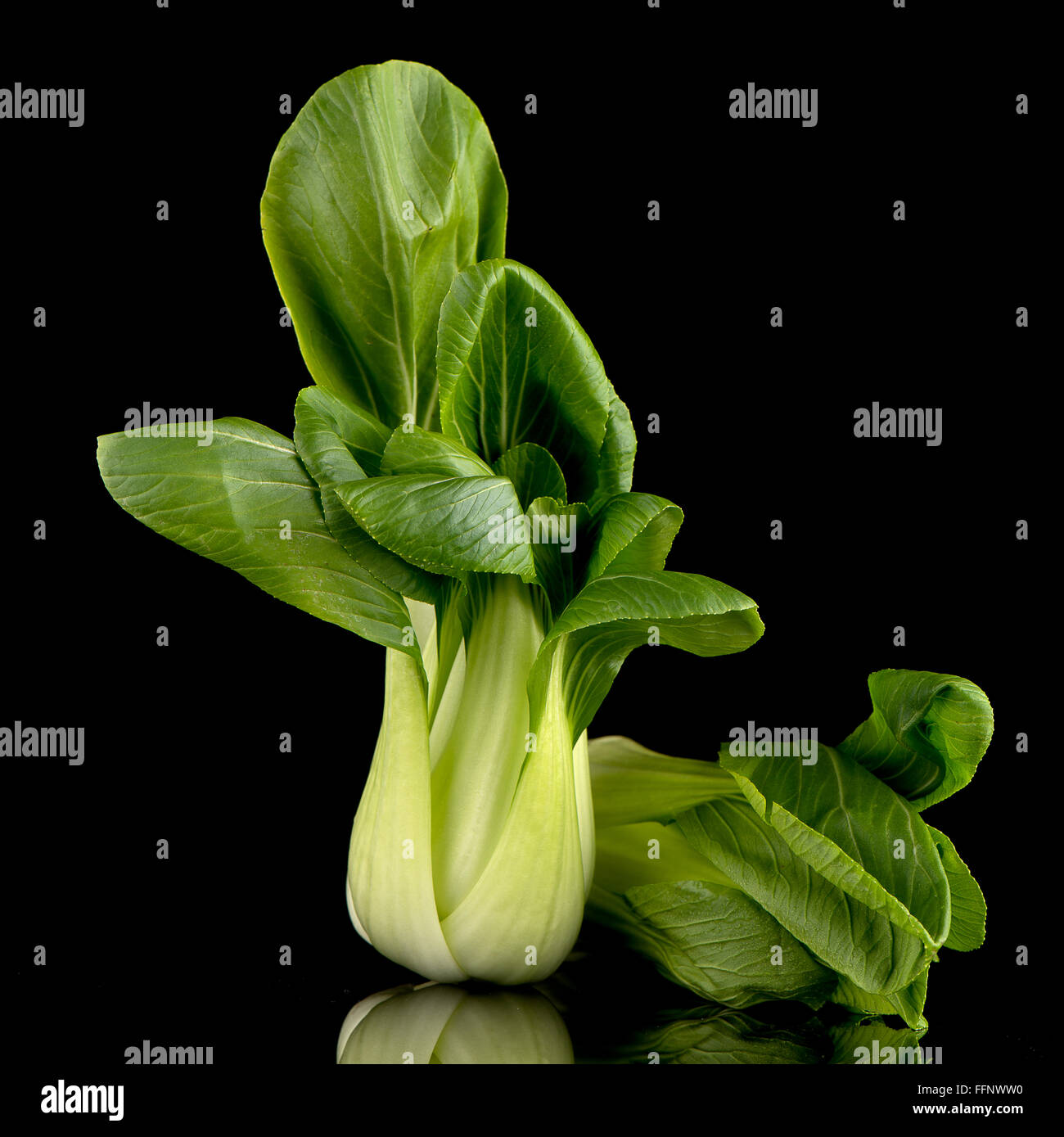 Pak choi on black background Stock Photo - Alamy