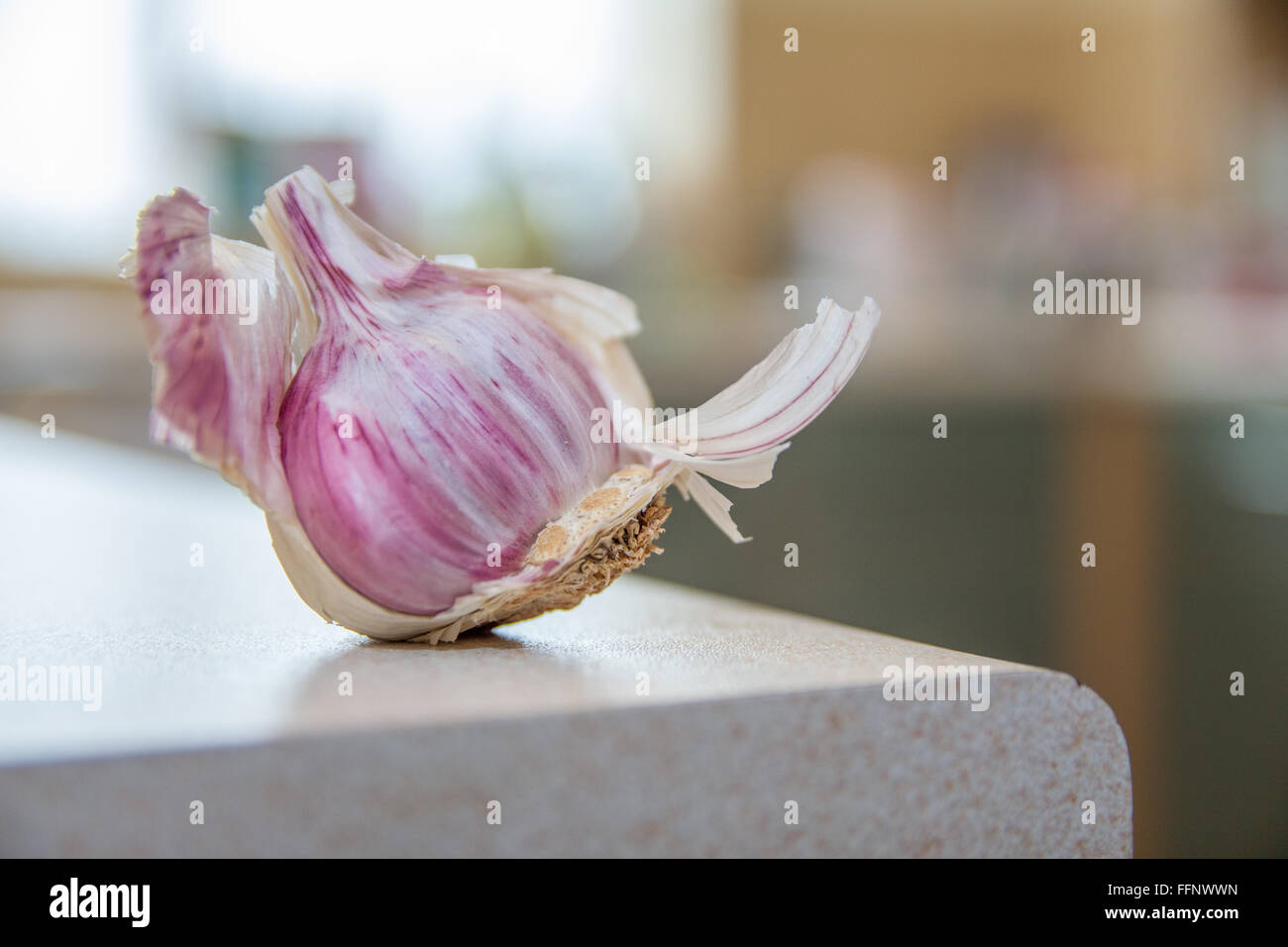 bulb of garlic sitting on a kitchen work top Stock Photo - Alamy