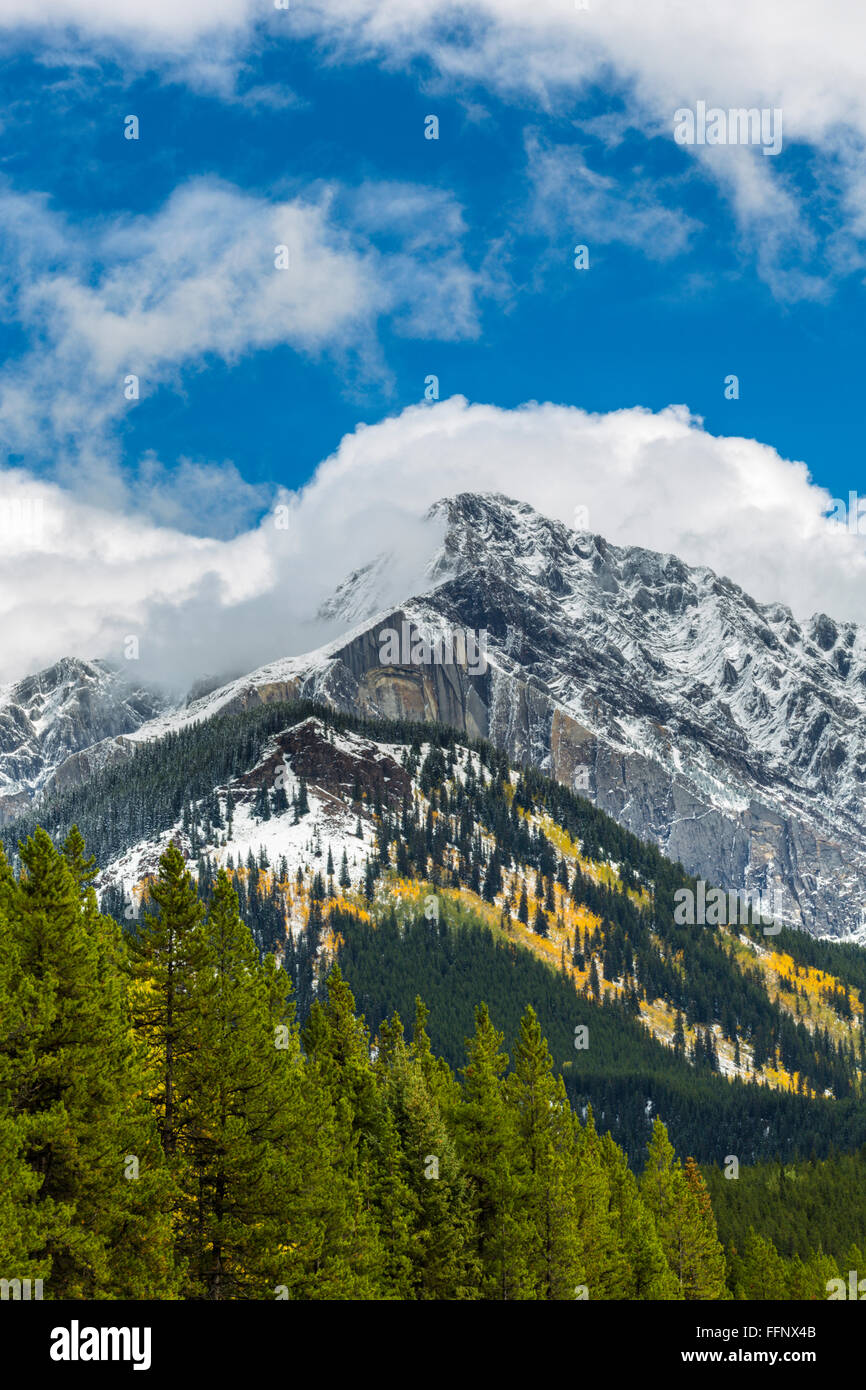 Mount Ishbel, Sawback Range, Banff Nationalpark, Alberta, Canada Stock ...