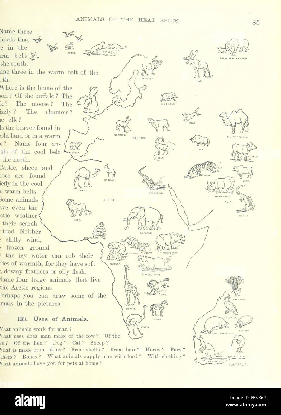 Primary Geography Is An Educational Geography Book That Introduces