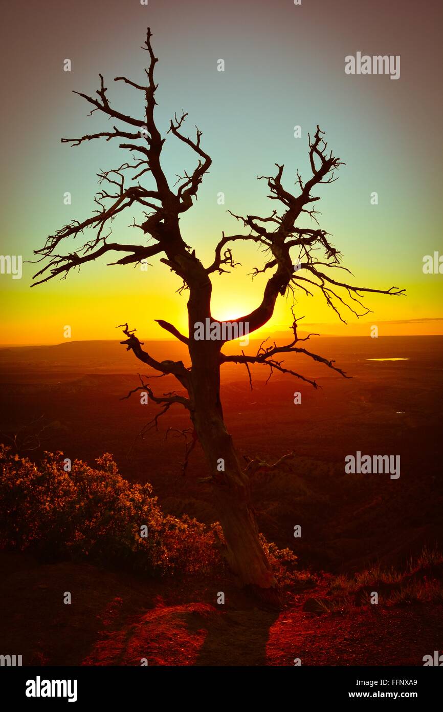 Sunset mesa hi-res stock photography and images - Alamy