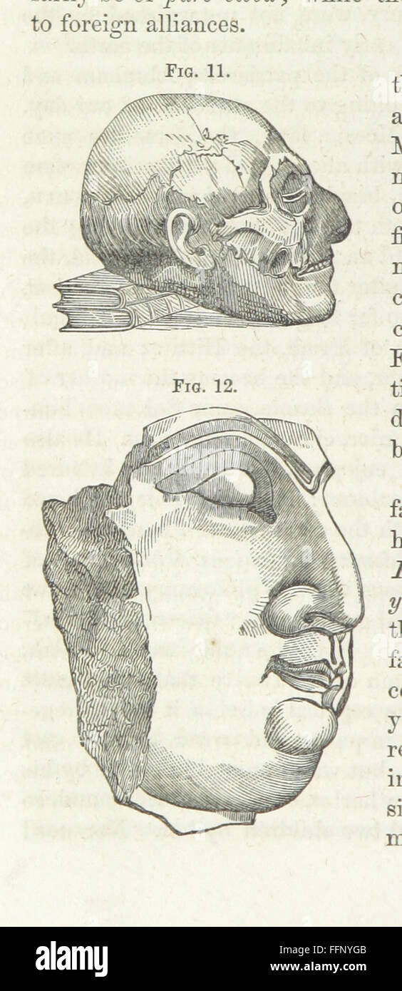 Types of mankind hi-res stock photography and images - Alamy