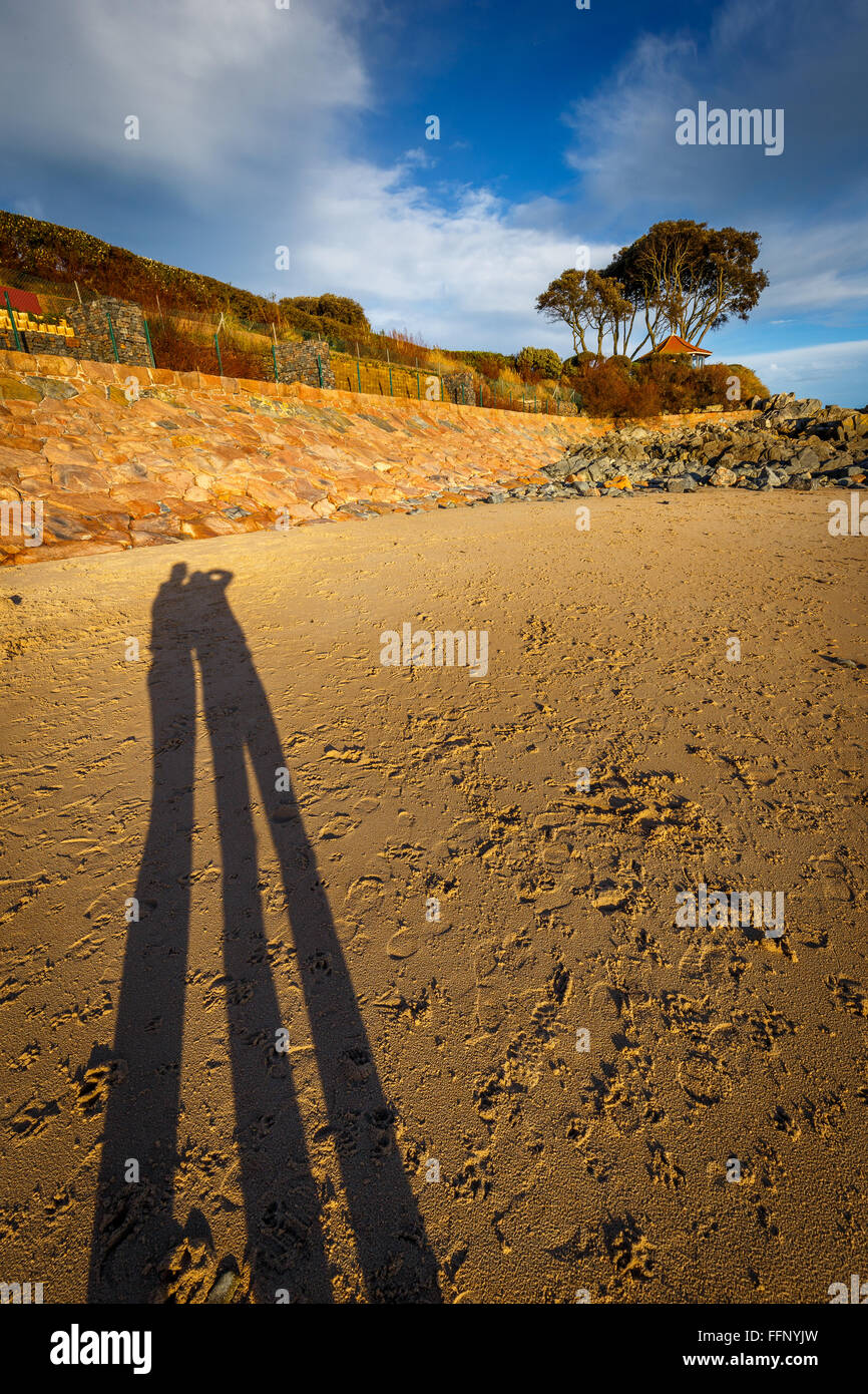 long shadow of two people standing on the beach with a blue sky and ...