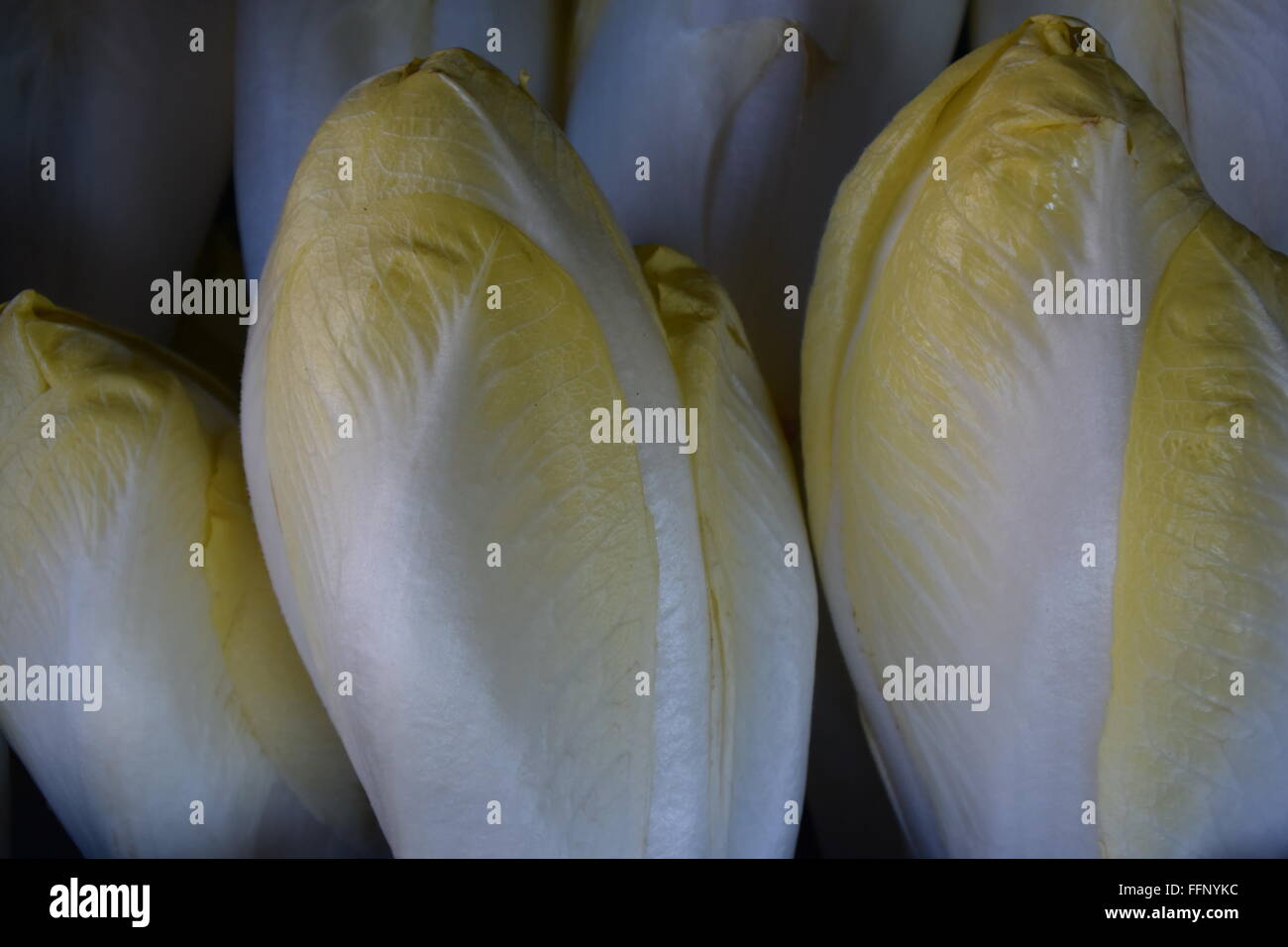 Chicoree hi-res stock photography and images - Alamy