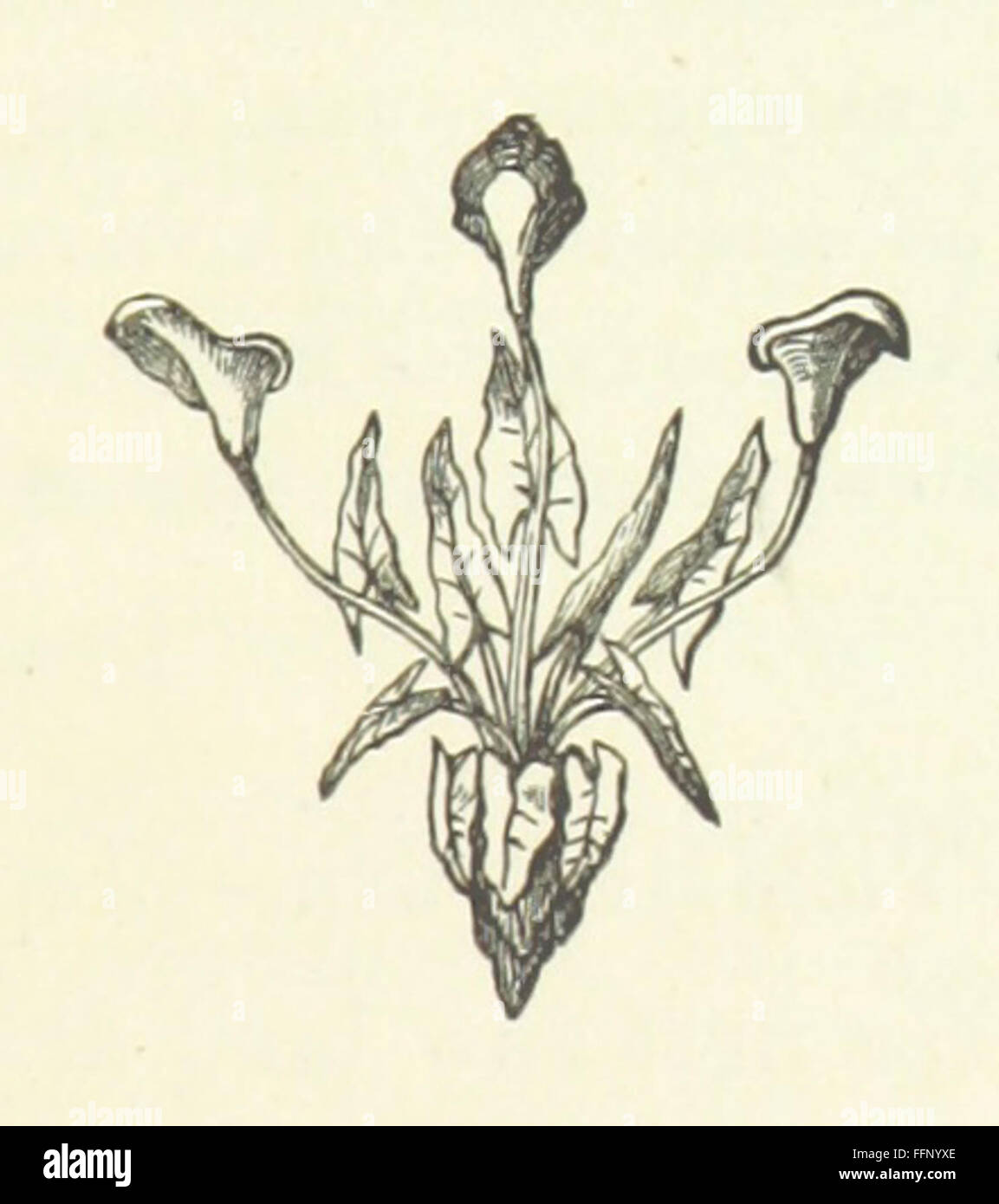 This travel narrative recounts an adventurous journey around the world ...