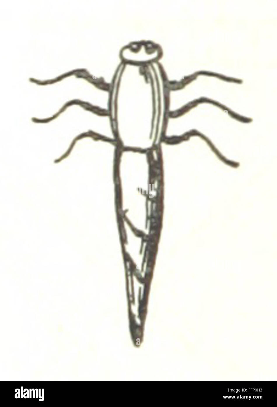 Khorassan hi-res stock photography and images - Alamy