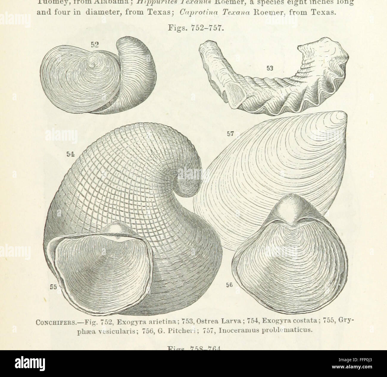 This geological manual explains the principles of geology with an ...