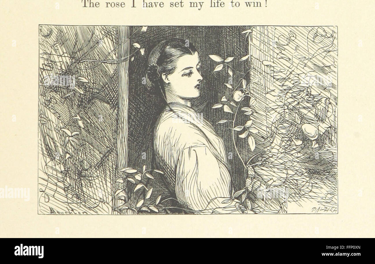 A collection of original poems by celebrated poets, paired with ...