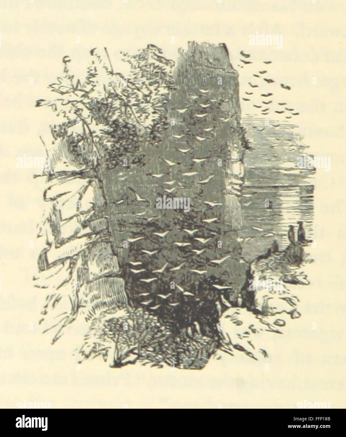 This vintage book chronicles the notable voyages from Christopher ...