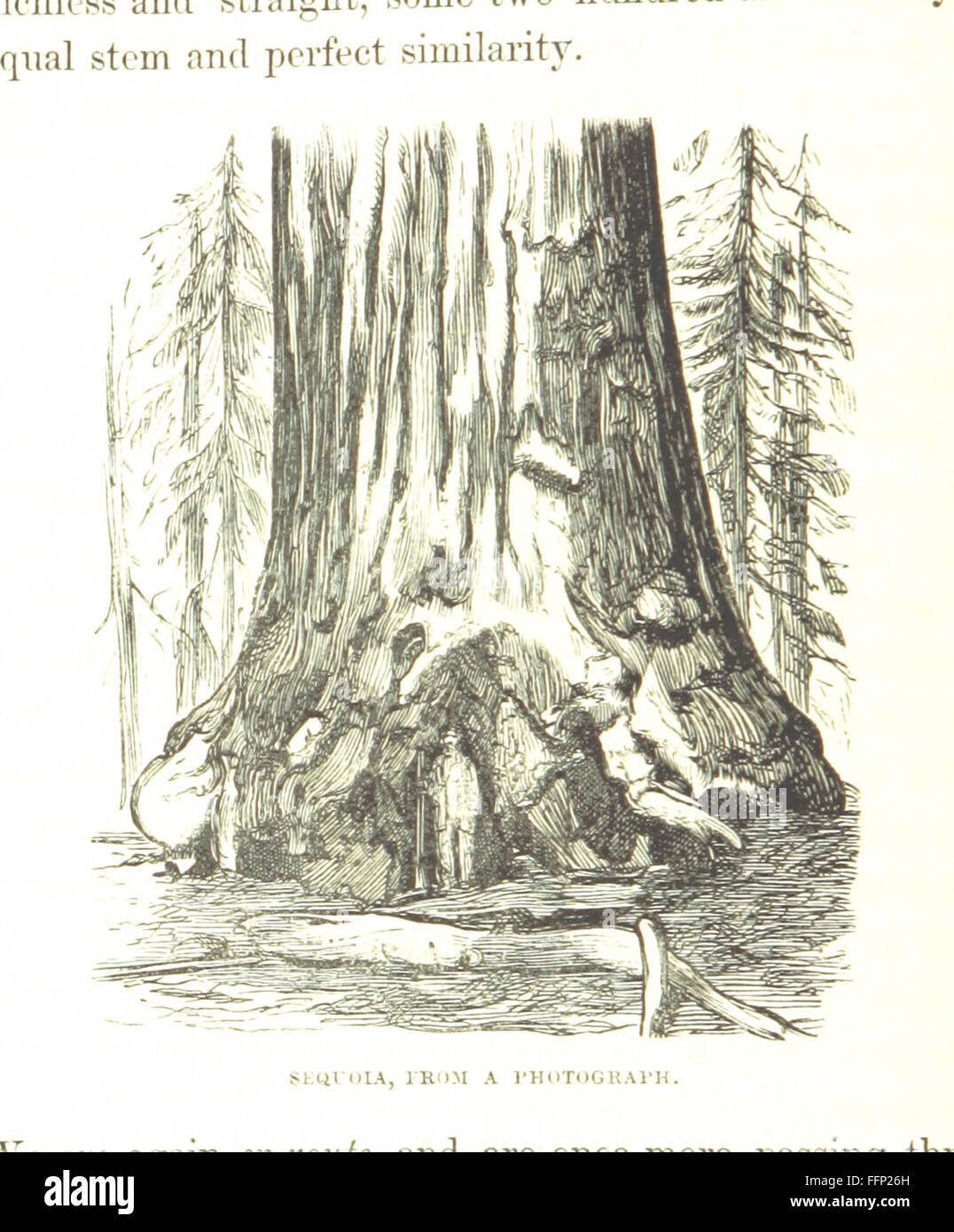 This vintage book provides a geographical and cultural overview of ...