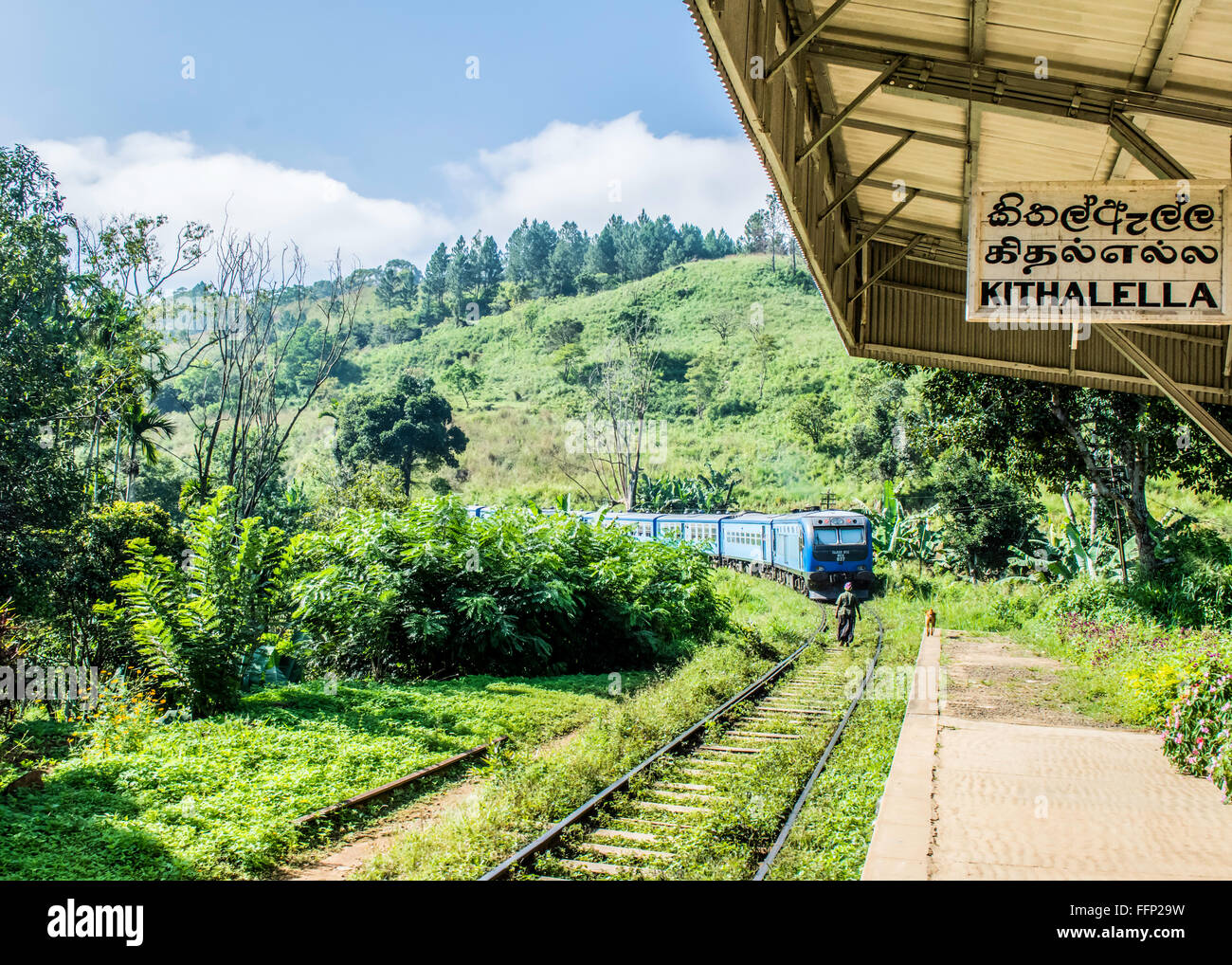 Kithalella hi-res stock photography and images - Alamy