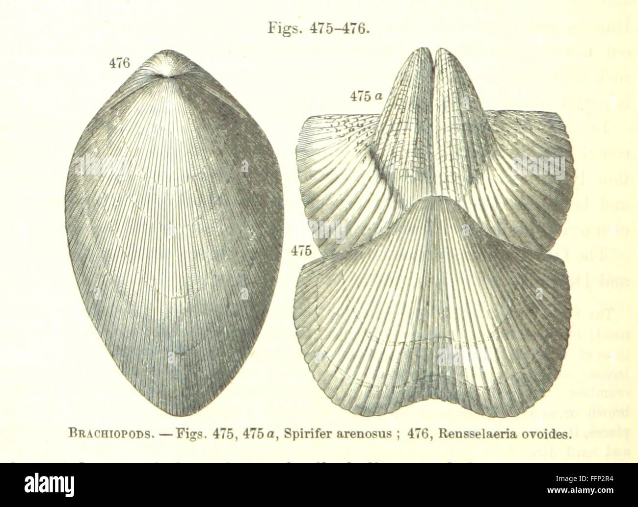 The 'Manual of Geology' outlines the core principles of geology, with a ...