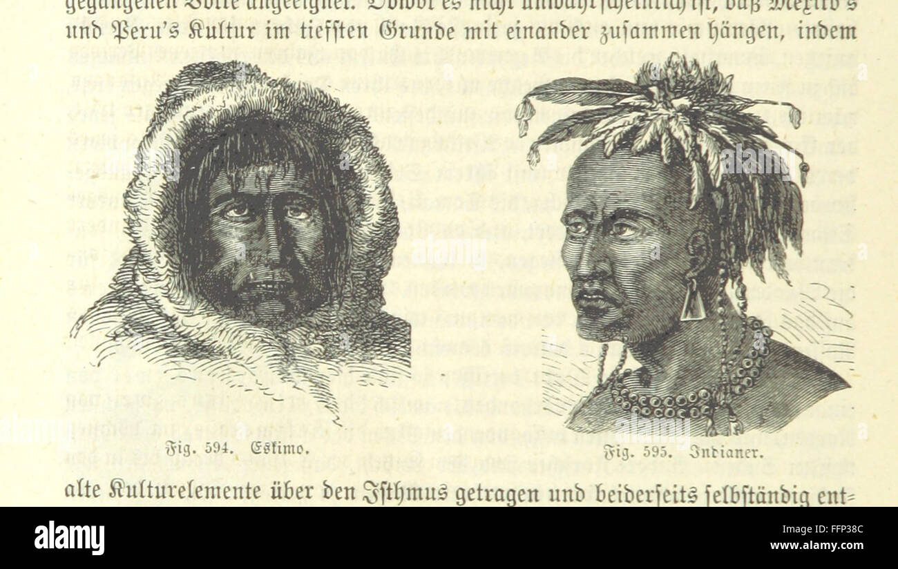 Human species timeline hi-res stock photography and images - Alamy