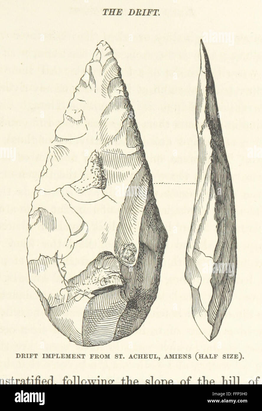 This book provides an illustrated exploration of early human life in ...