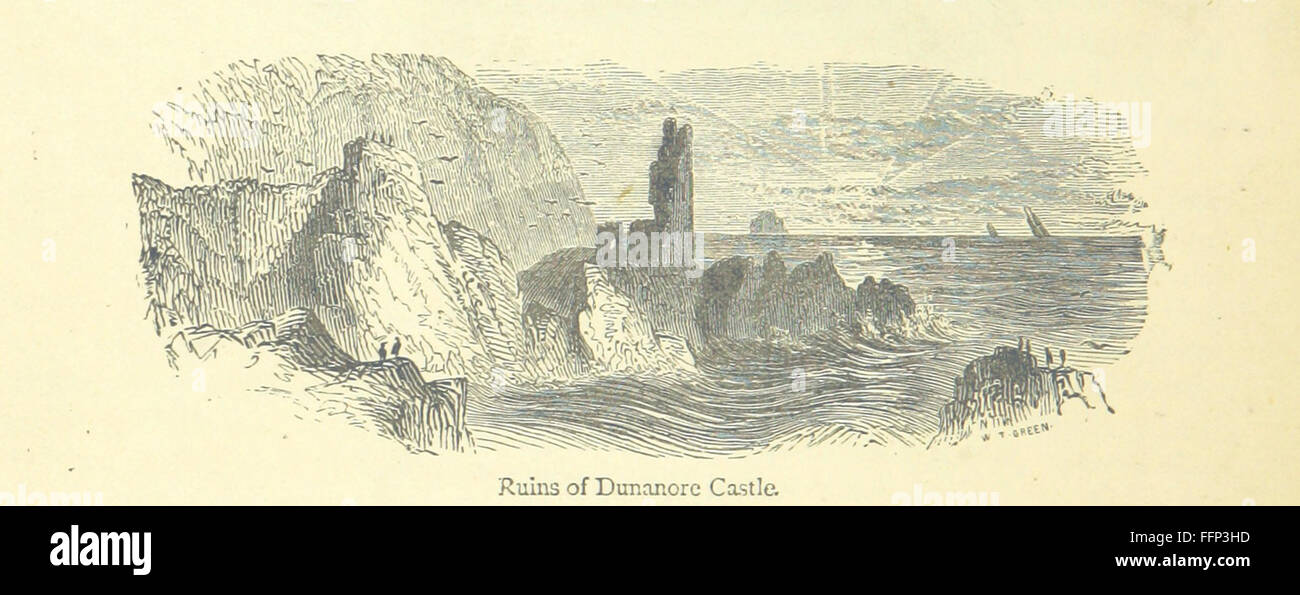 This vintage book offers a comprehensive history of the Irish nation ...