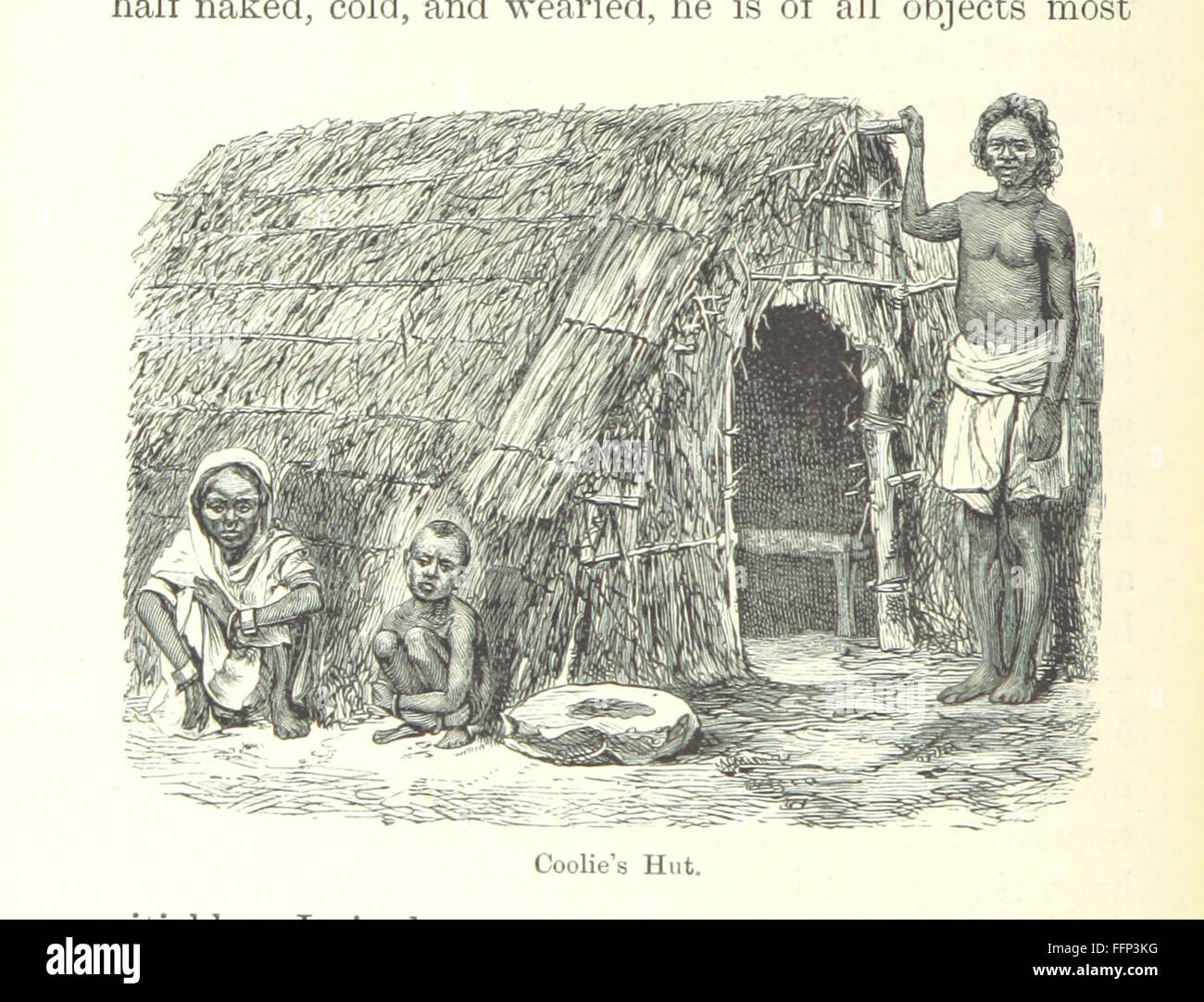 Indigo plantation hi-res stock photography and images - Alamy