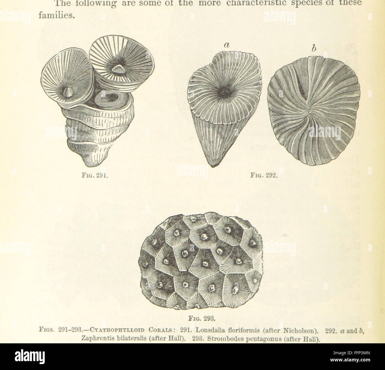 This text-book on geology covers fundamental elements of the earth's ...