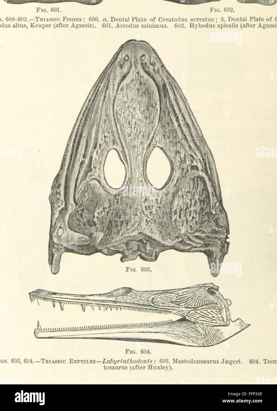 'Elements of Geology' is a textbook on geology that covers the ...