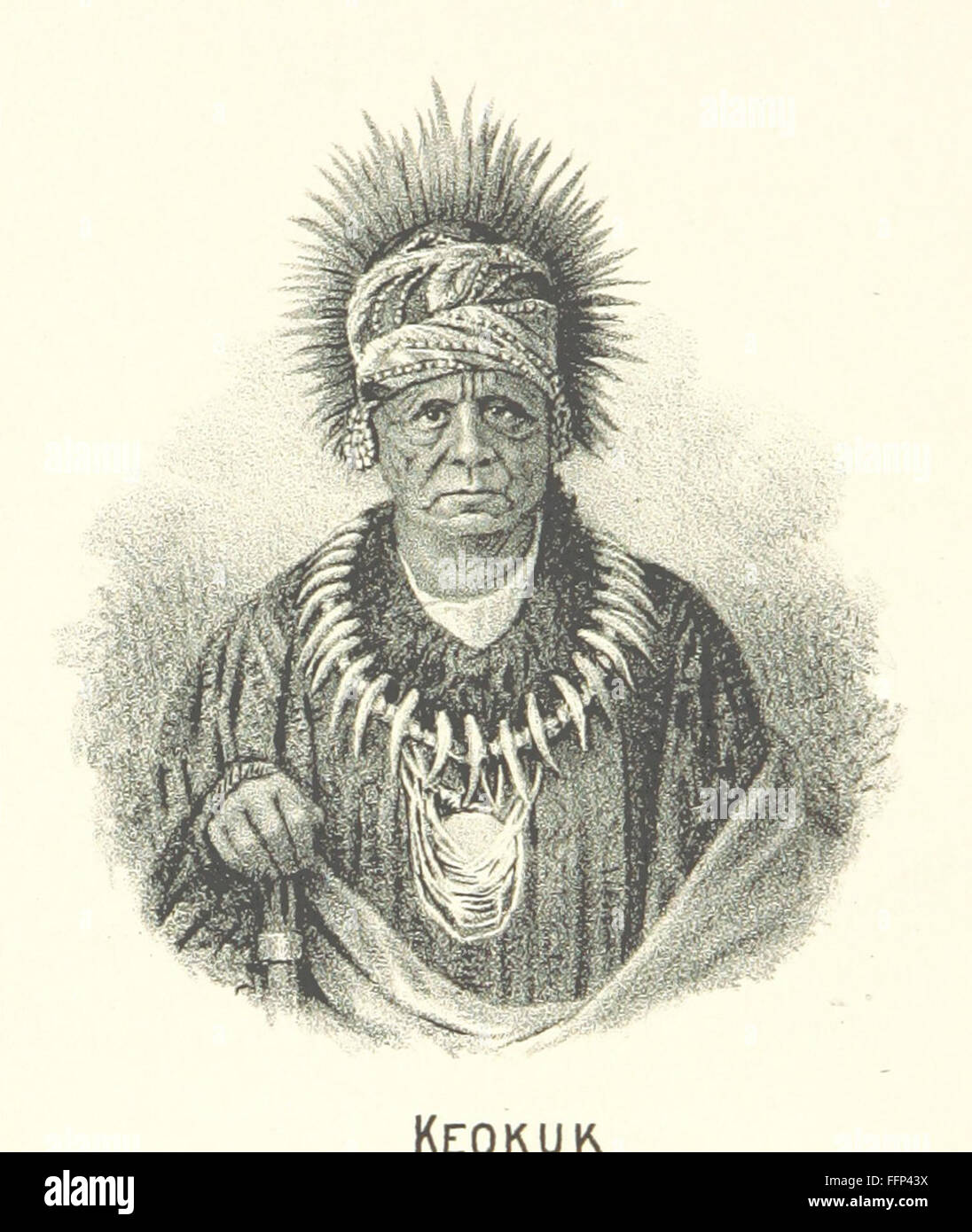 This vintage book provides a detailed history of Lee County, Iowa ...