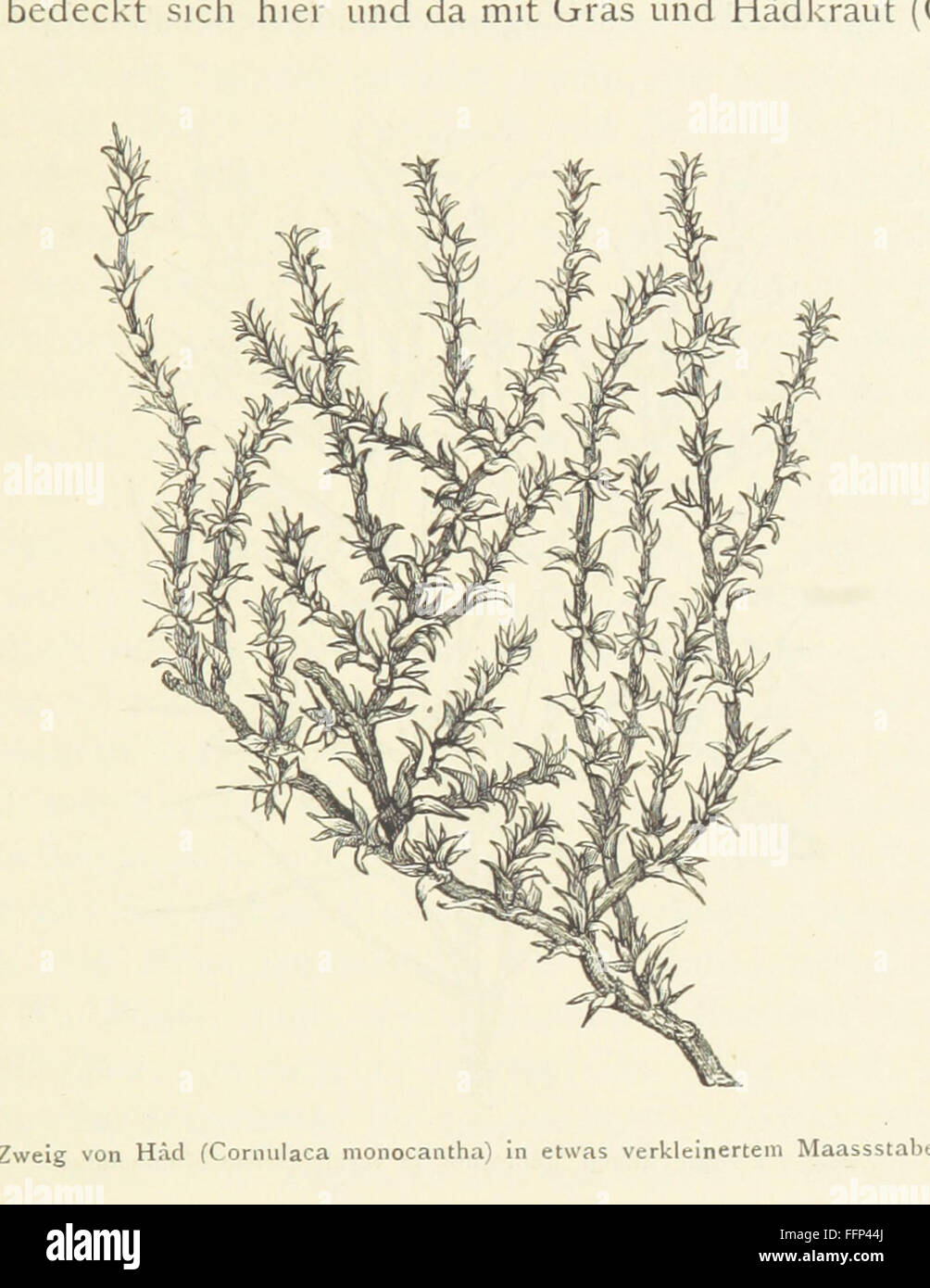 This third volume of a travel series recounts the author's six years of ...