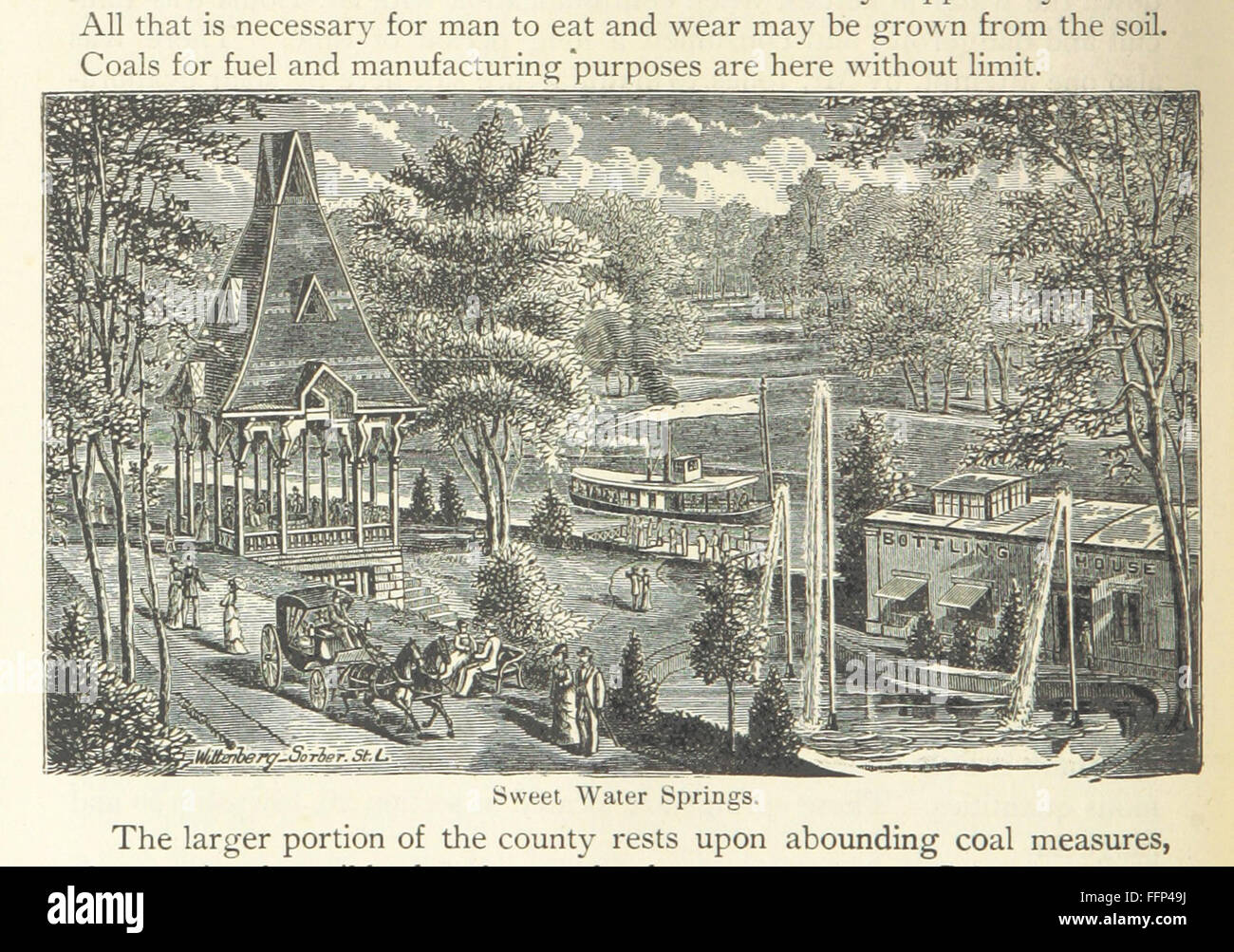 'History of Saline County, Missouri' is a detailed historical account ...