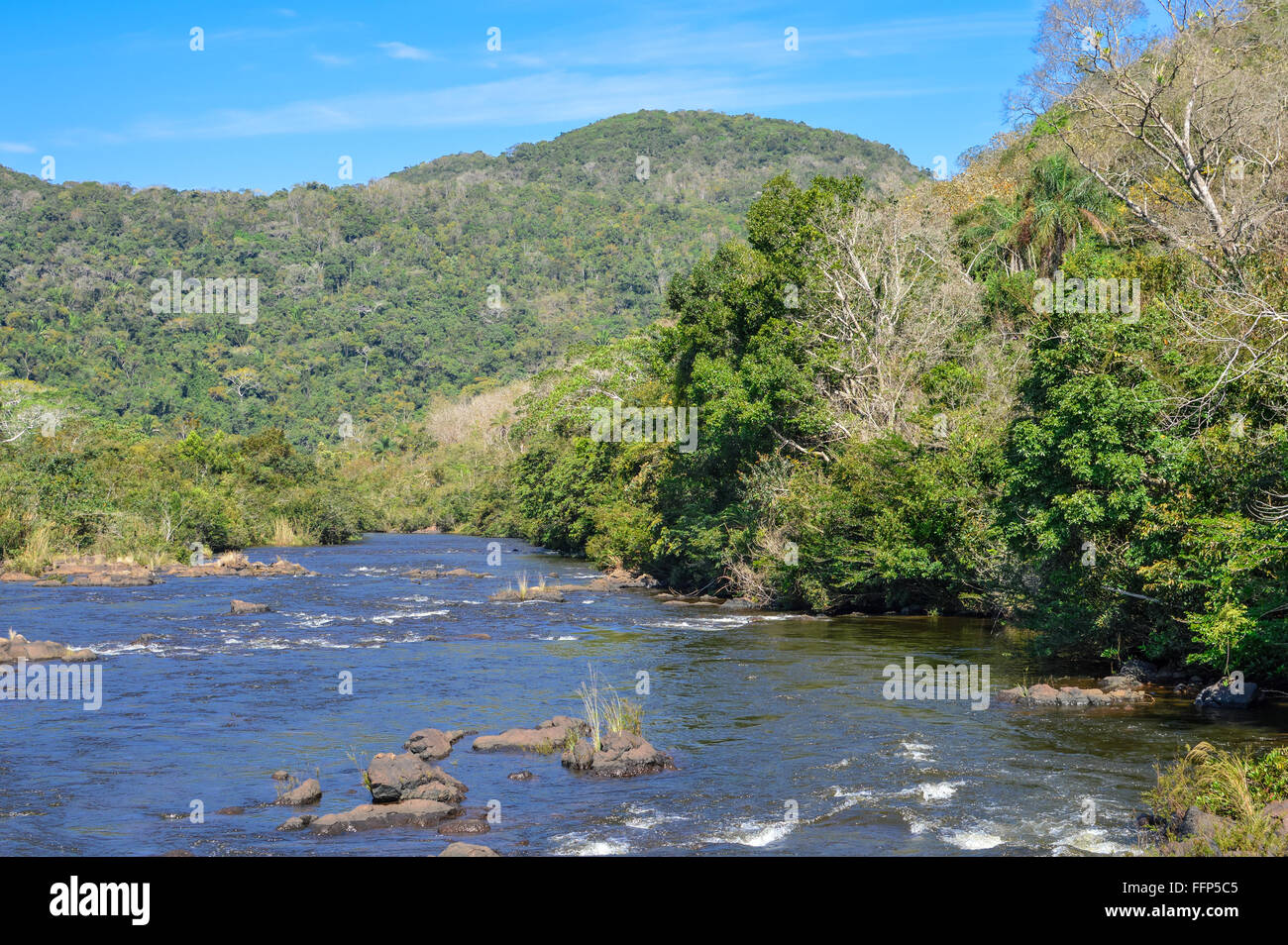 Mountain Pine Ridge Forest Reserve in Belize Stock Photo - Alamy