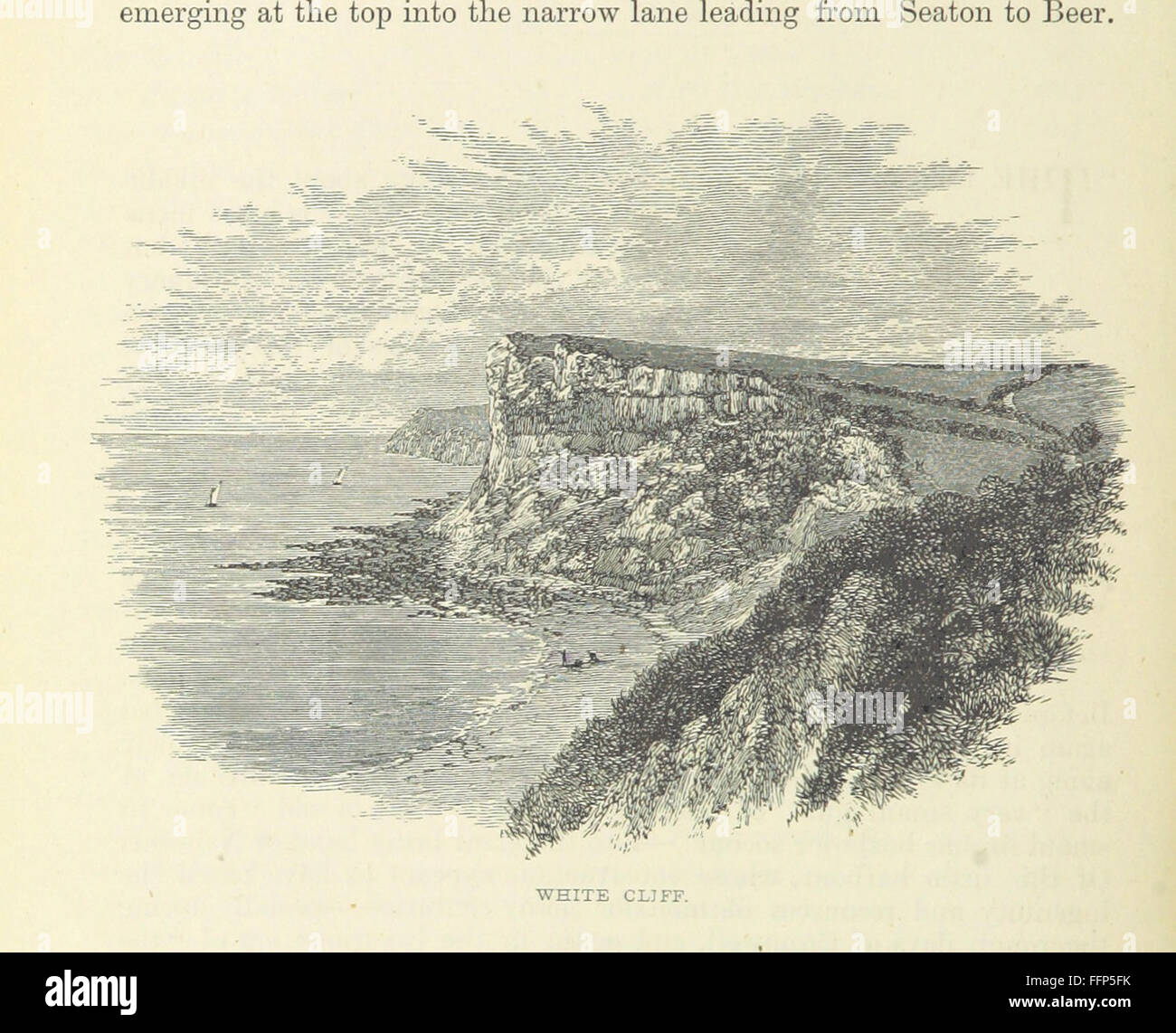 Dorset and devon borders hi-res stock photography and images - Alamy