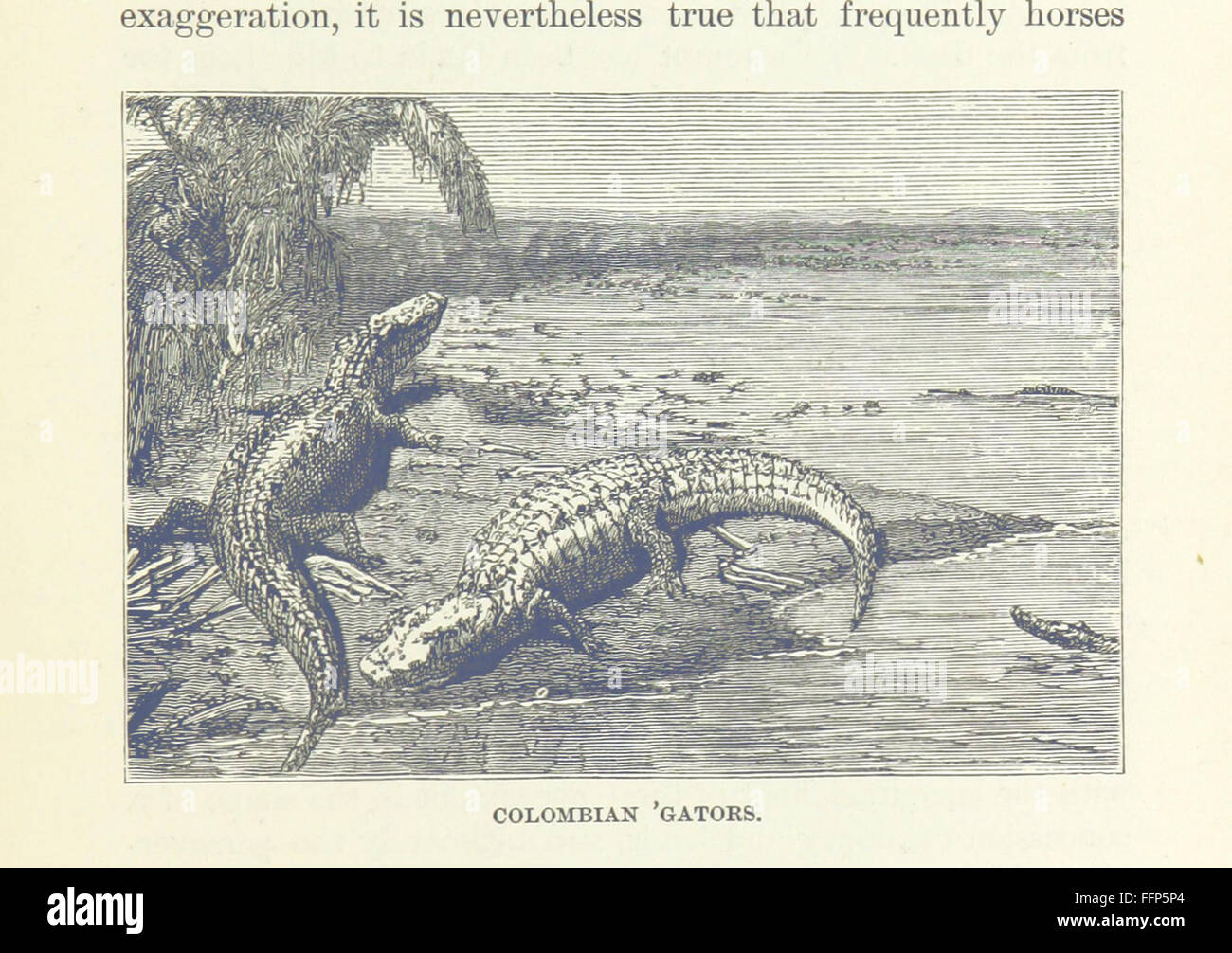 'The Capitals of Spanish America' provides an illustrated guide to the ...