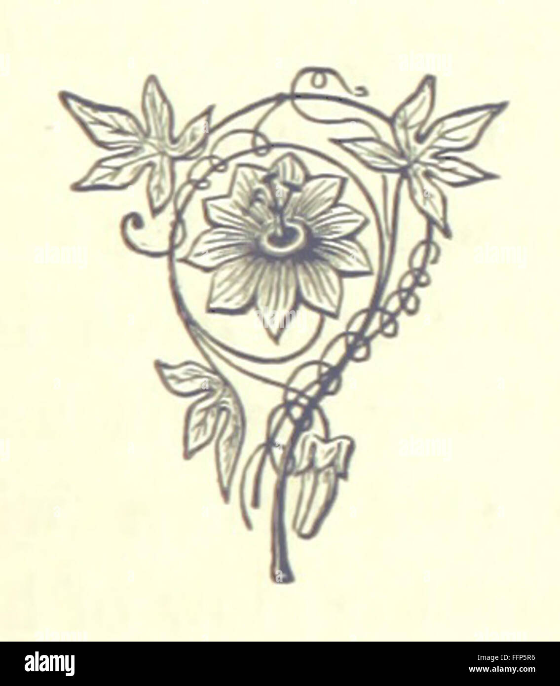 'The Red Rag' is a vintage novel that explores themes of social issues ...