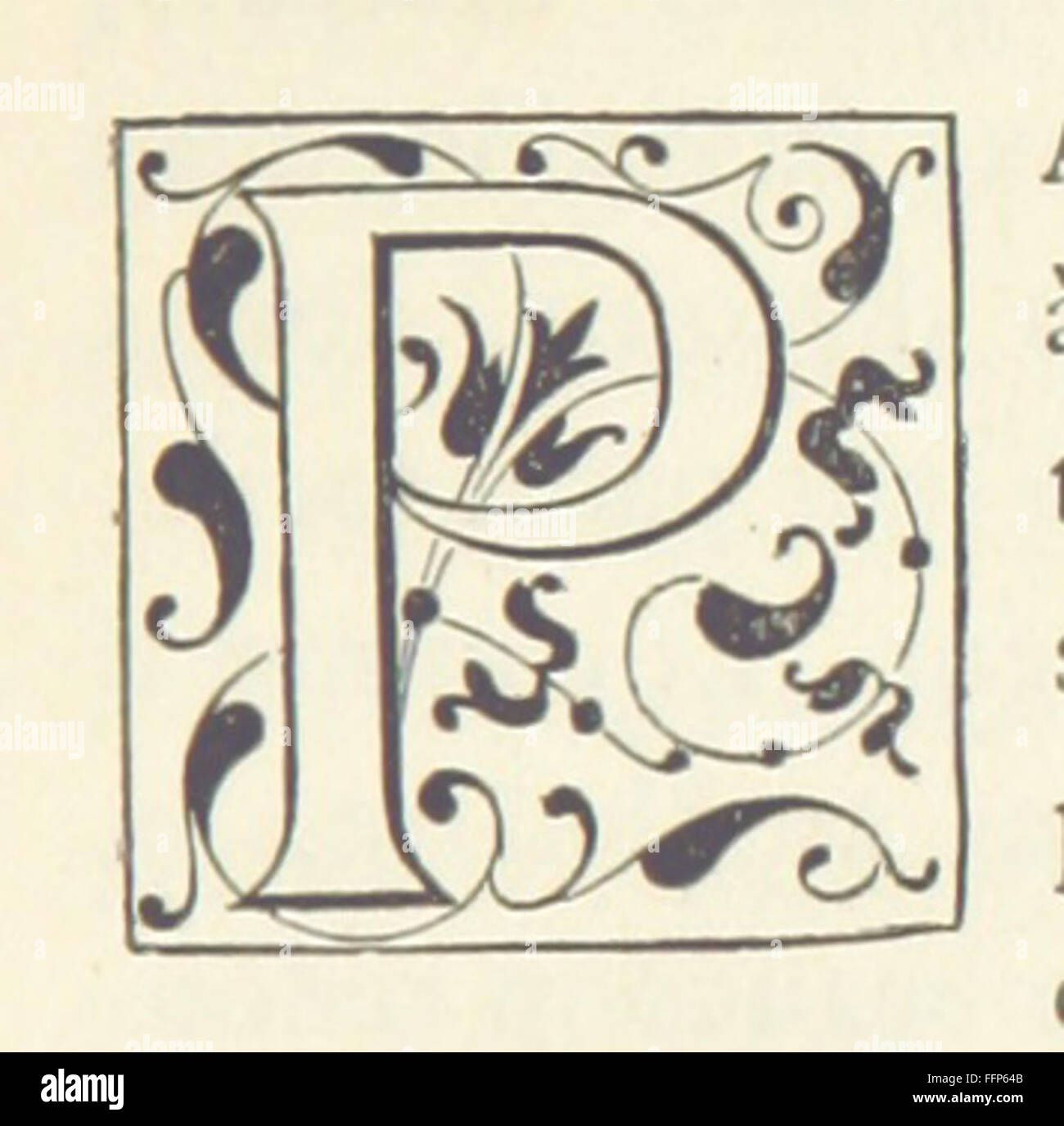 This universal history book covers a broad range of world history ...