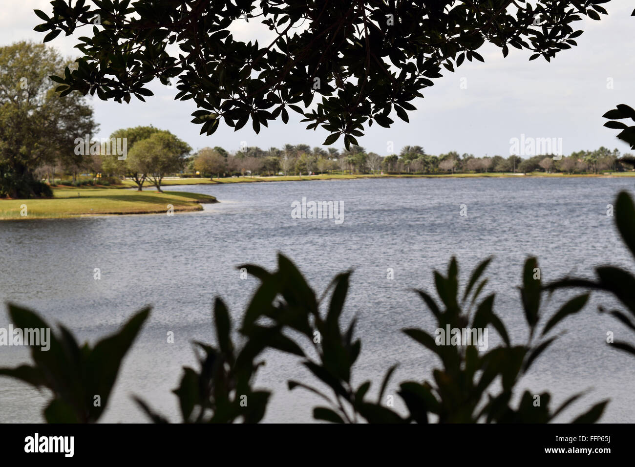 View of the Lake Stock Photo - Alamy