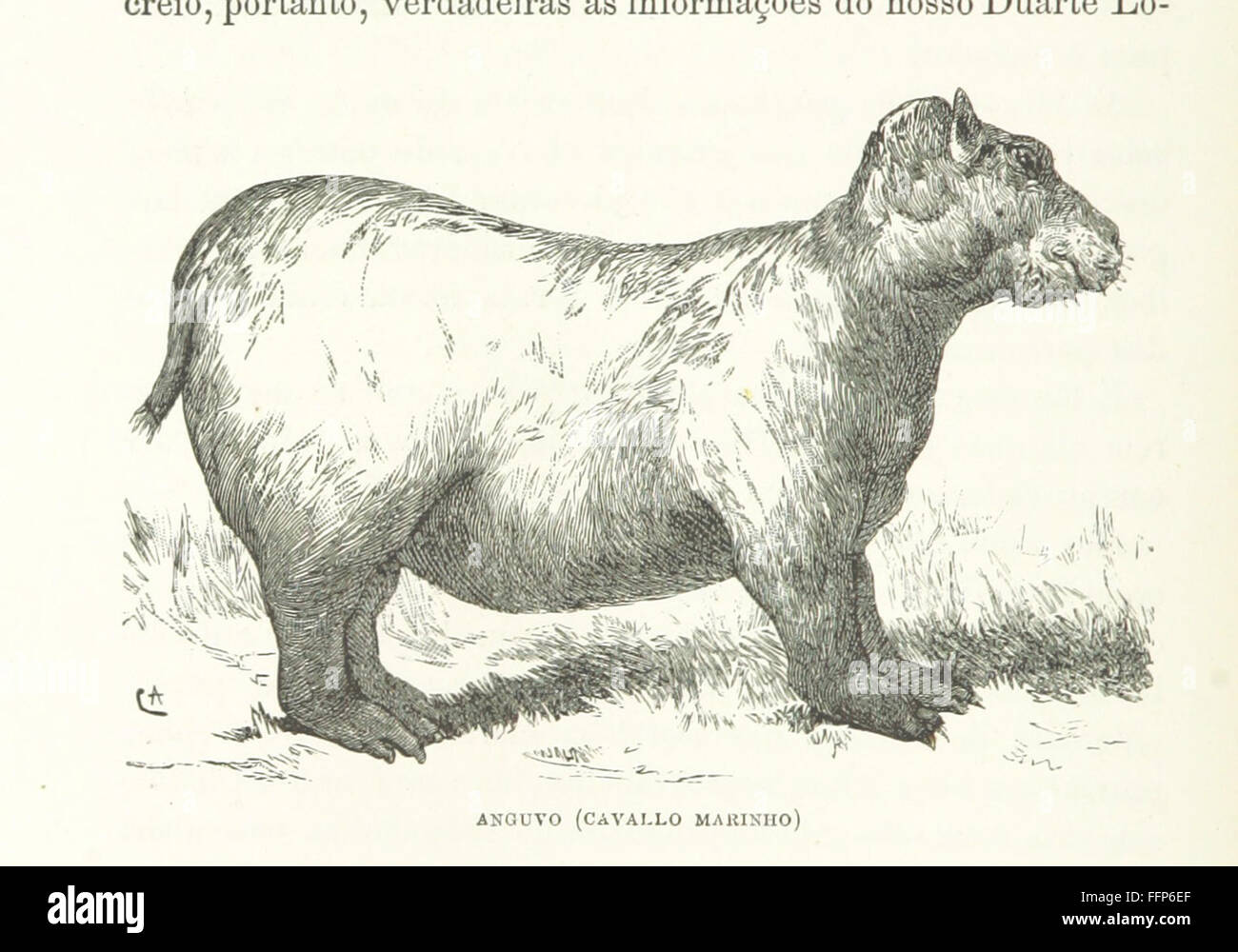 This illustrated book delves into the Portuguese expedition to the ...