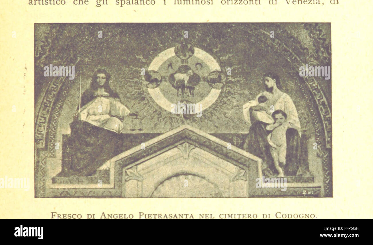 'Codogno e il suo territorio' offers a historical and geographical ...