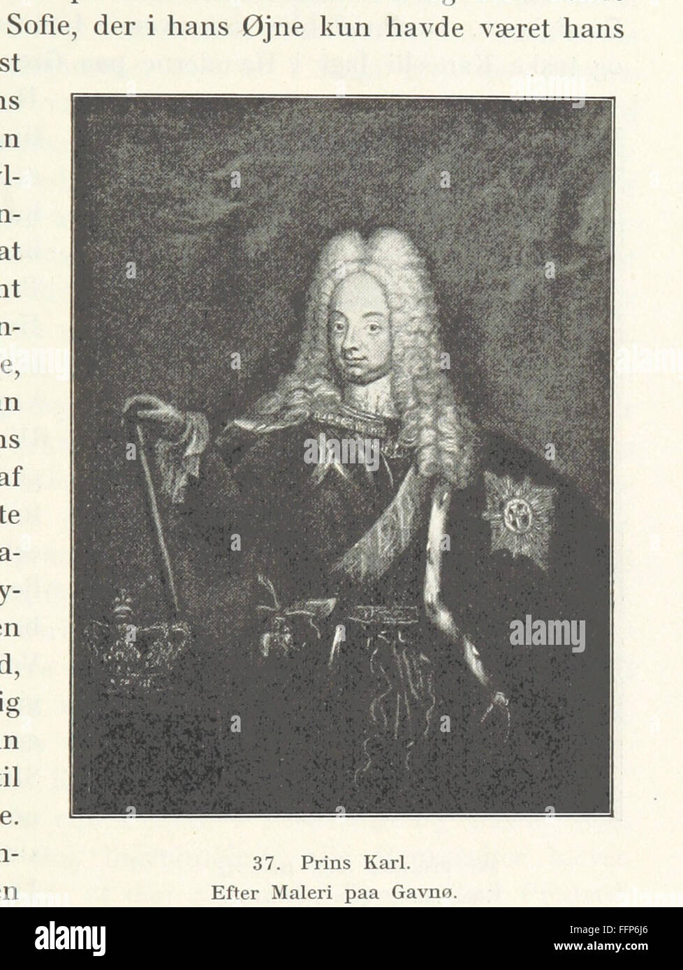 This Danish book chronicles the history of Denmark, with contributions ...