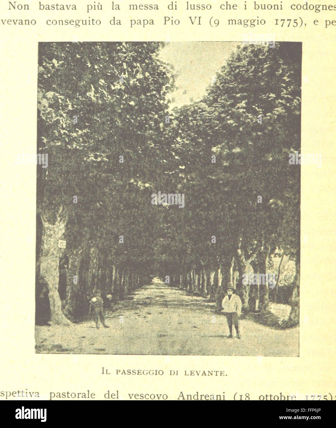 'Codogno e il suo territorio' offers a historical and chronicle-based ...