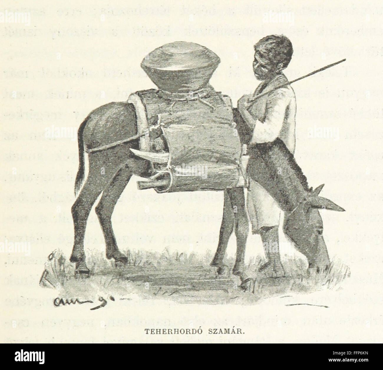 This vintage book chronicles the exploration journey of Samuel Teleki ...