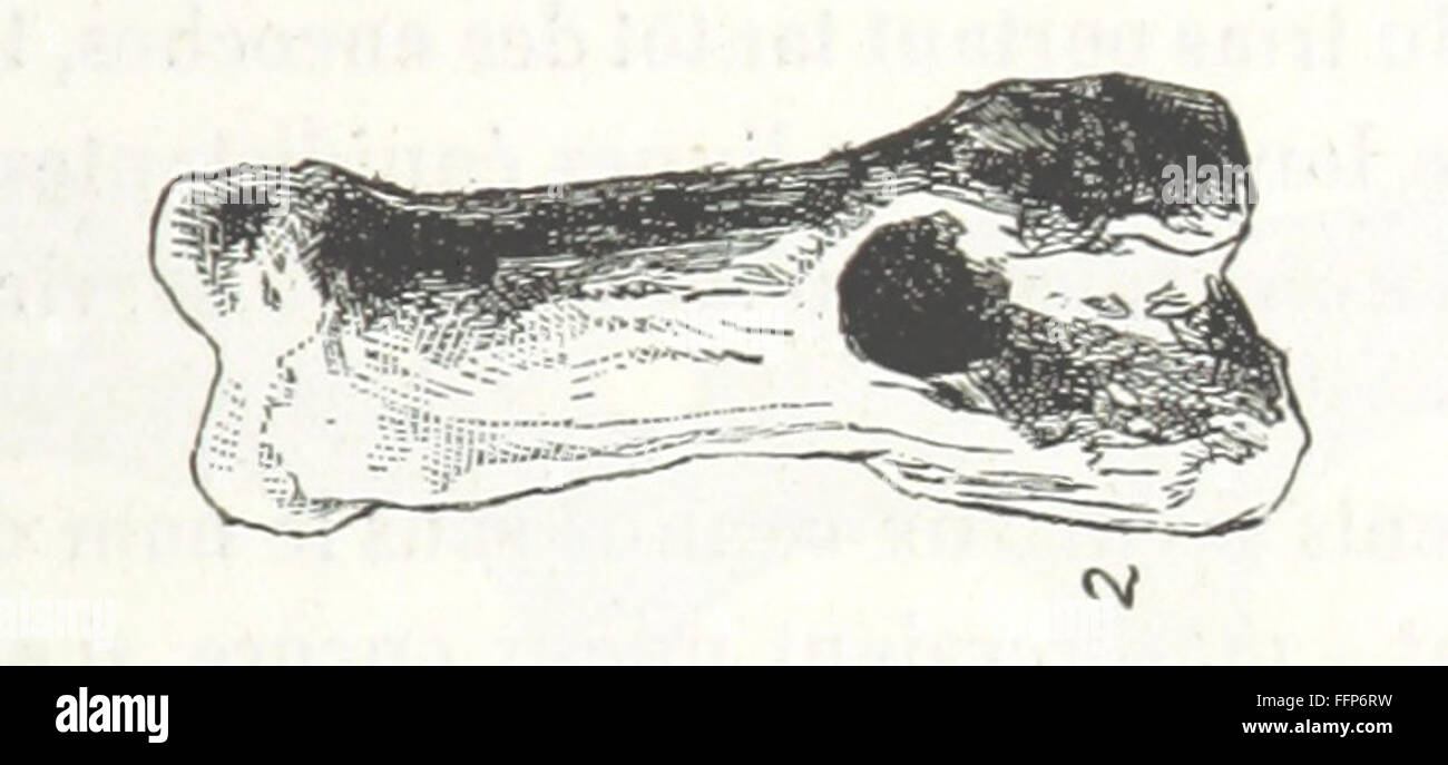 'Les premiers hommes et les temps preïhistoriques' is a vintage book ...