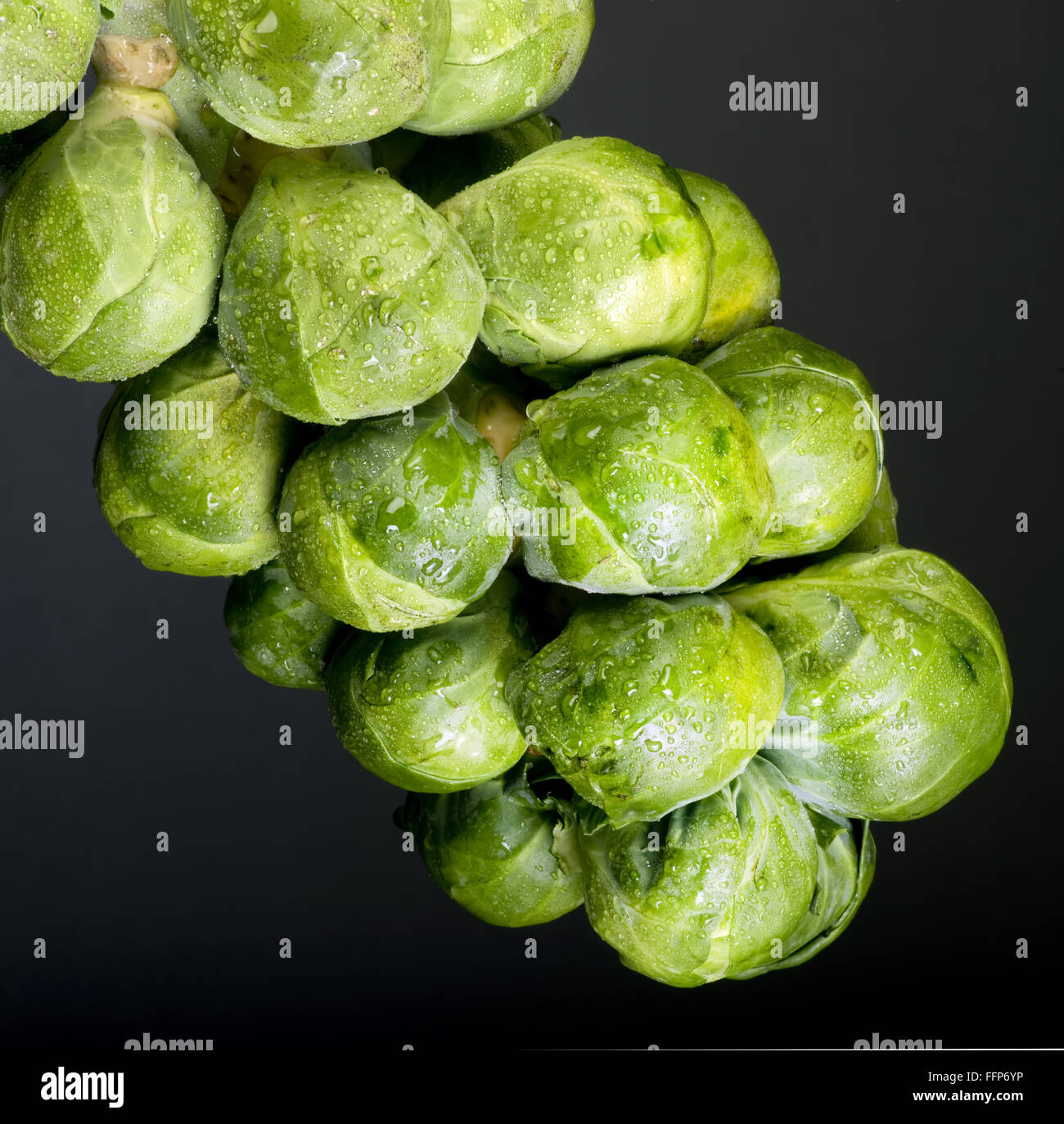 Sprout Stalk High Resolution Stock Photography and Images - Alamy