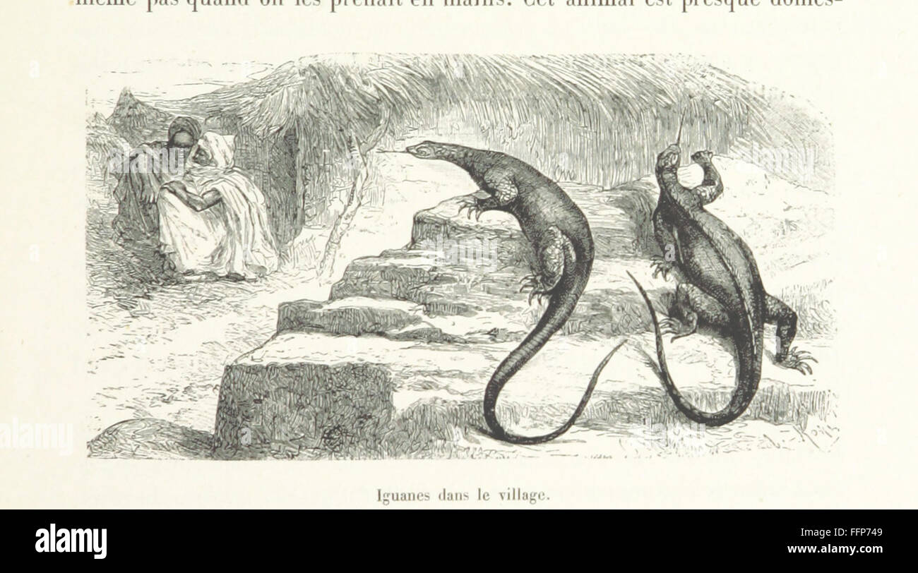 'Du Niger au Golfe de Guinée' is a French-language book documenting an ...