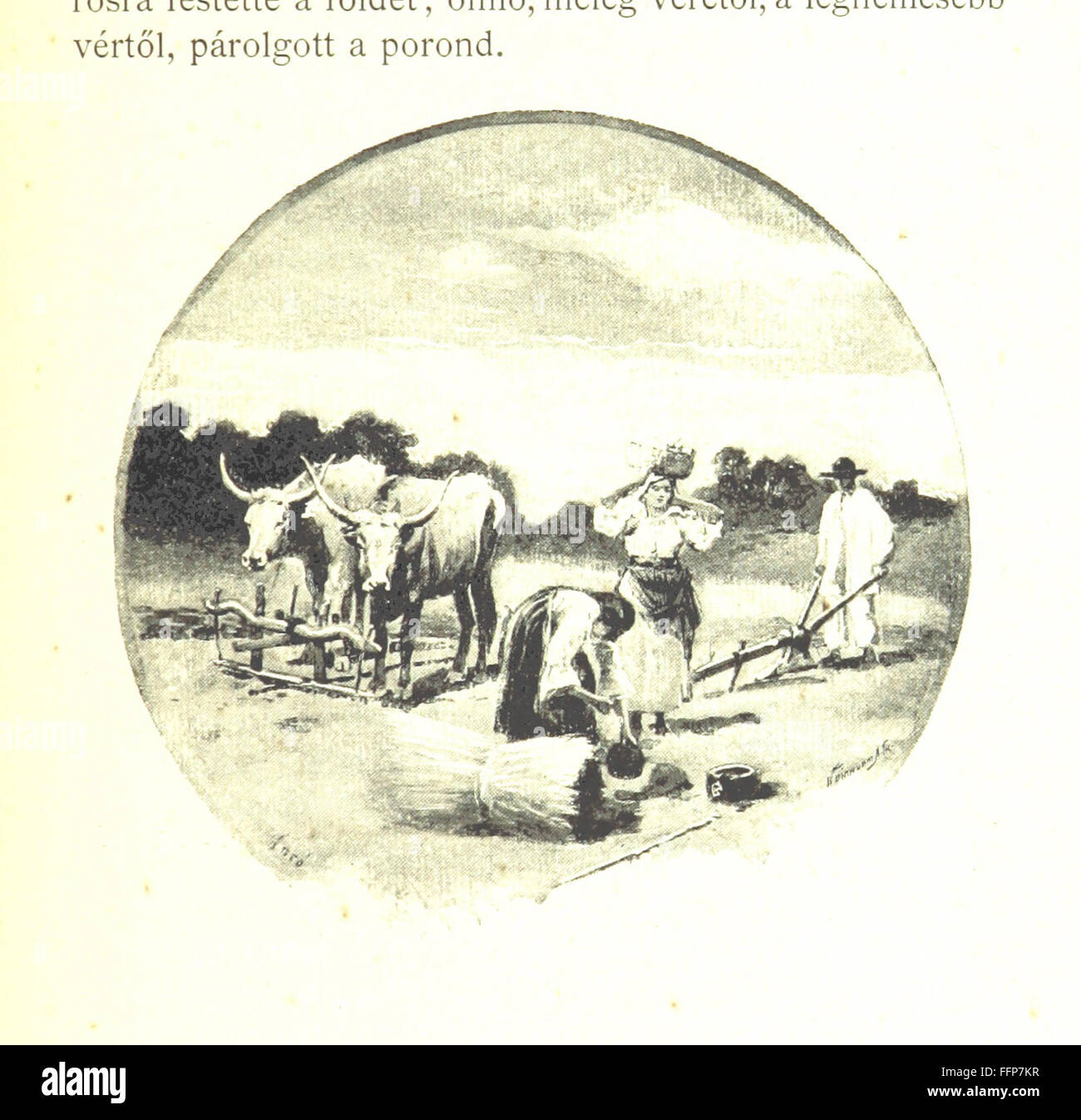 'Szeïkelyfoùld' is a vintage book exploring the Székely Land region, an ...