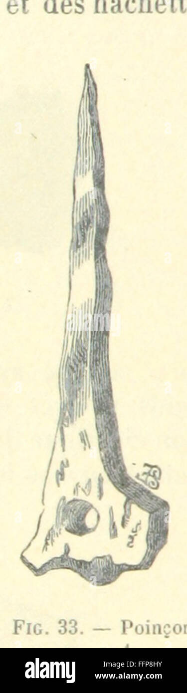 'Histoire nationale des Gaulois sous Vercingétorix' is a historical ...