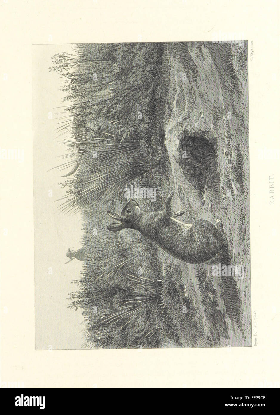 This collection features descriptive poetry from various authors, with ...