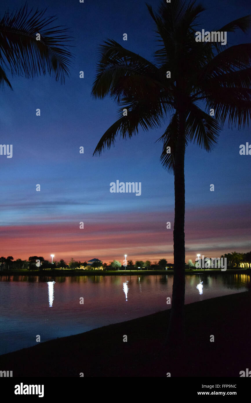 Palm Tree Sunset Stock Photo - Alamy