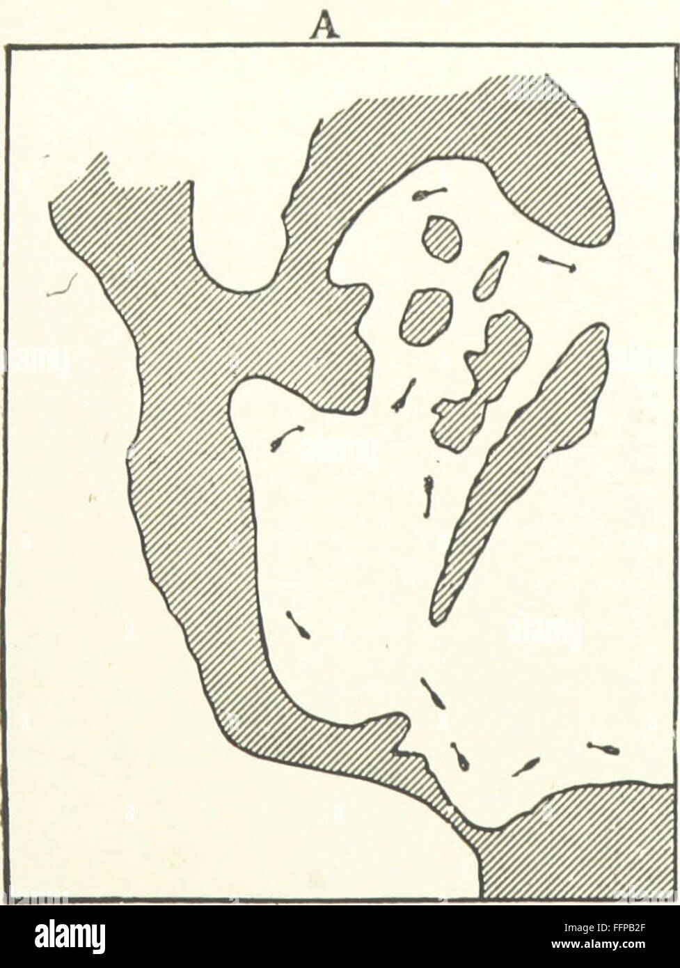 This image, featured in *Some Salient Points in the Science of the ...