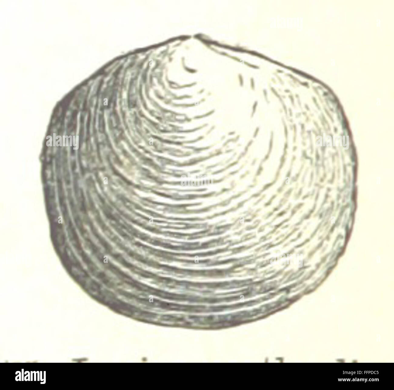 'Outlines of Geology' is a comprehensive introduction to the study of ...