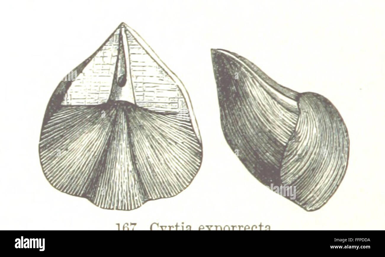 A revised second edition of a geological textbook, providing an ...